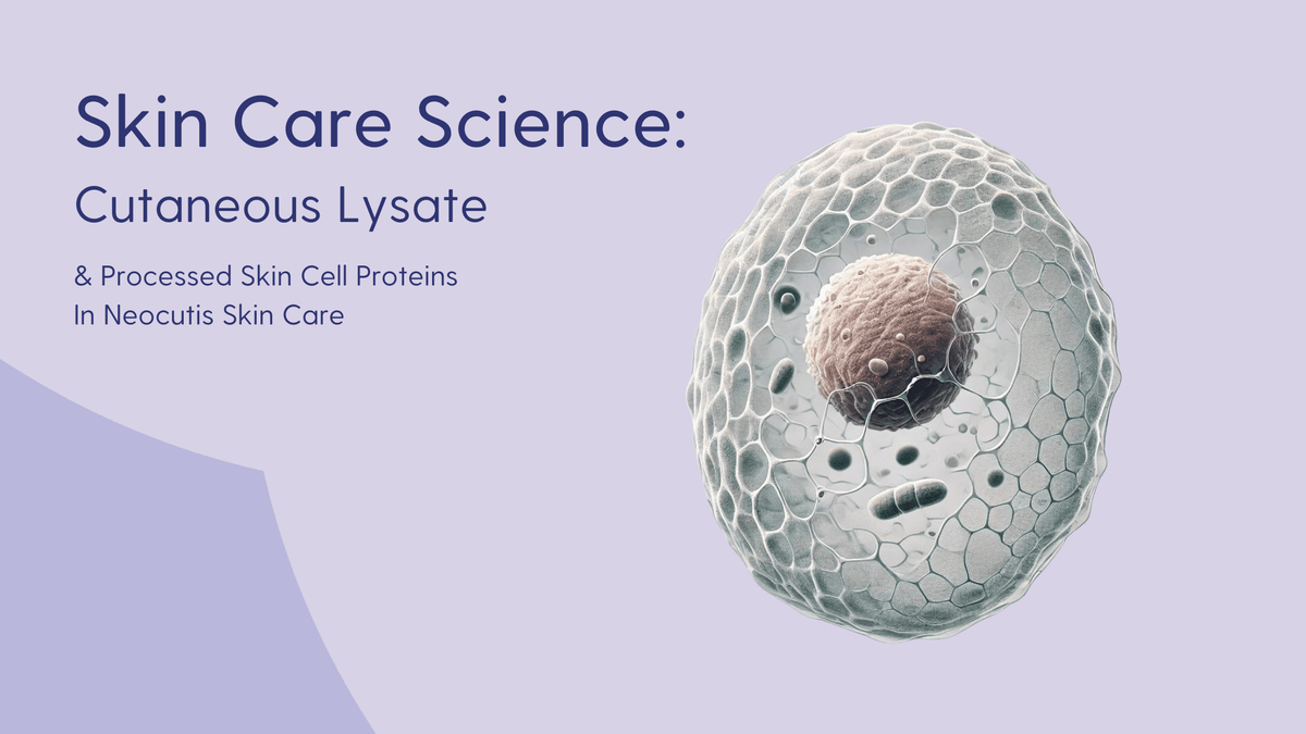 Cutaneous lysate and Processed Skin Cell Proteins in Neocutis Skin Care