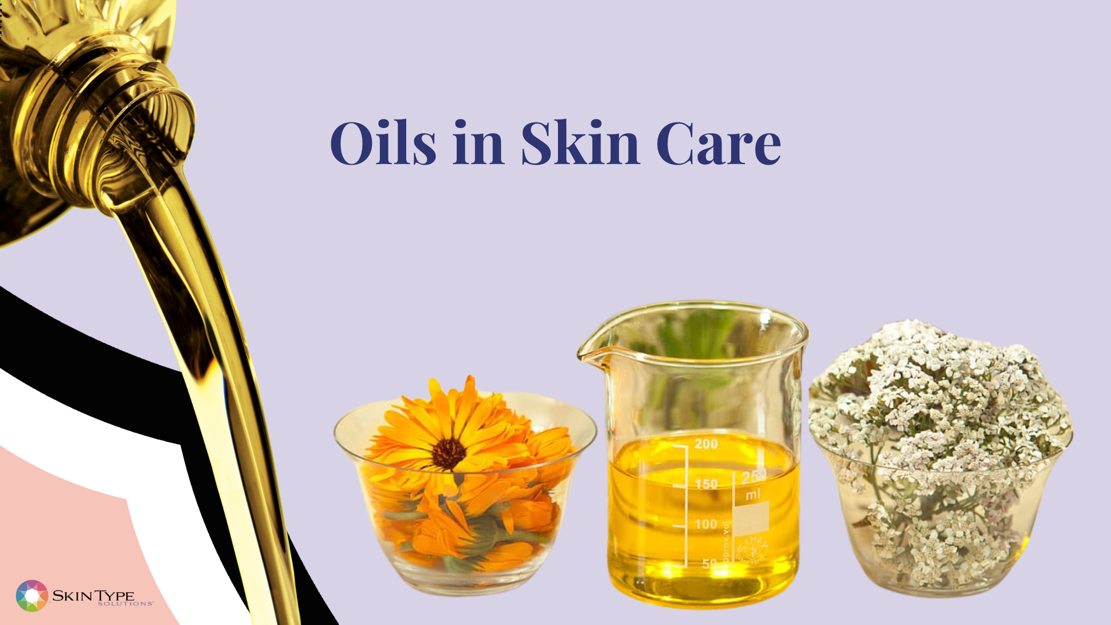 How are different Oils Used in skin care Products? – Skin Type Solutions