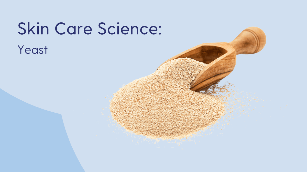 Yeast in Skin Care Products- Good or Bad?